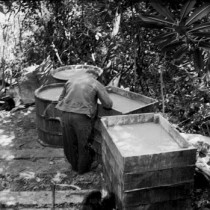 How to make moonshine – Distilling Liquor